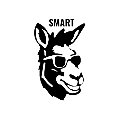 Our Smart Ass Story - Smart Ass Products